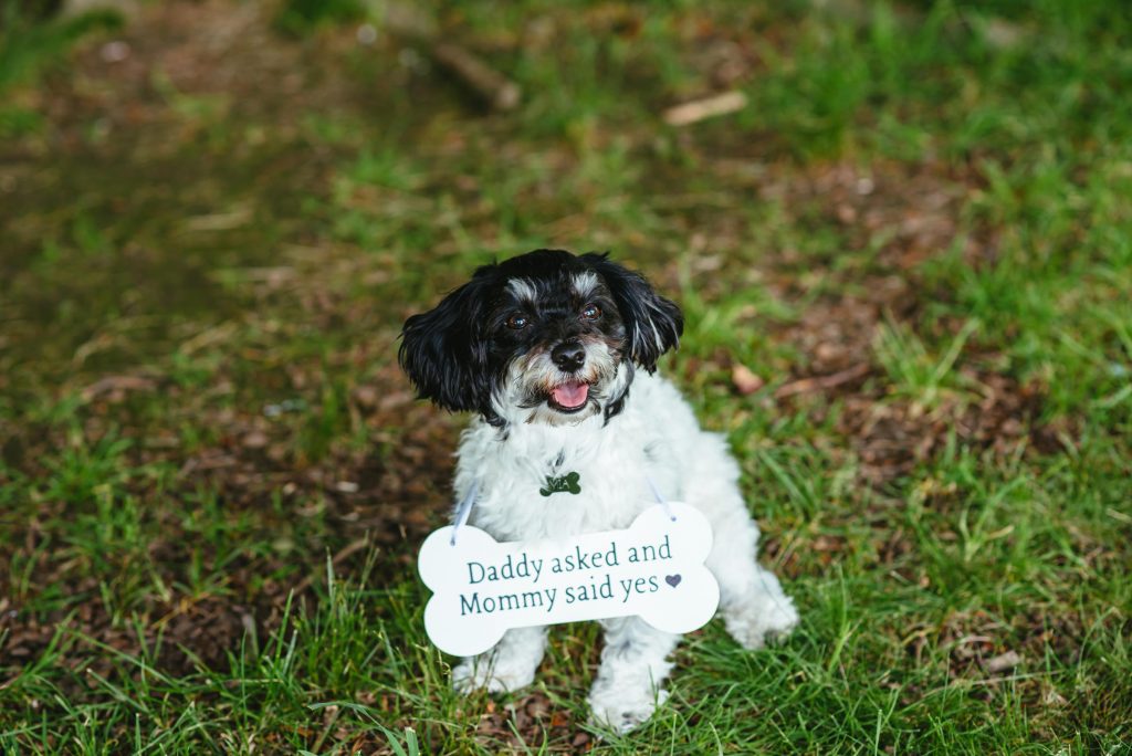 Isabelle + Matthew Engagement | Harkness Park | VO Photographers ...